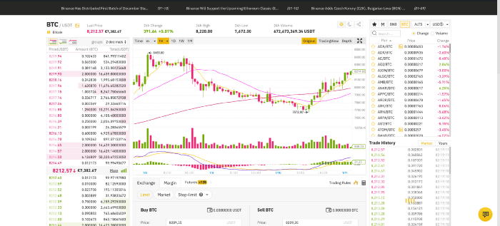 NKN Coin Nasıl Alınır? NKN Coin Rehberi - Coin Bilgi