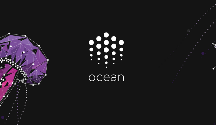 Ocean Protocol (OCEAN) Nasıl Alınır? OCEAN Satın Alma Rehberi - Coin Bilgi
