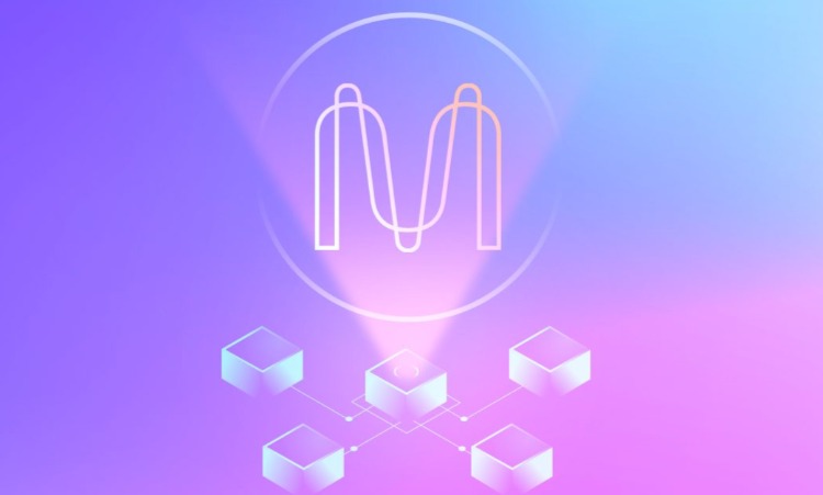 MINA Coin Nedir? MINA Coin Yorum ve Geleceği - Coin Bilgi