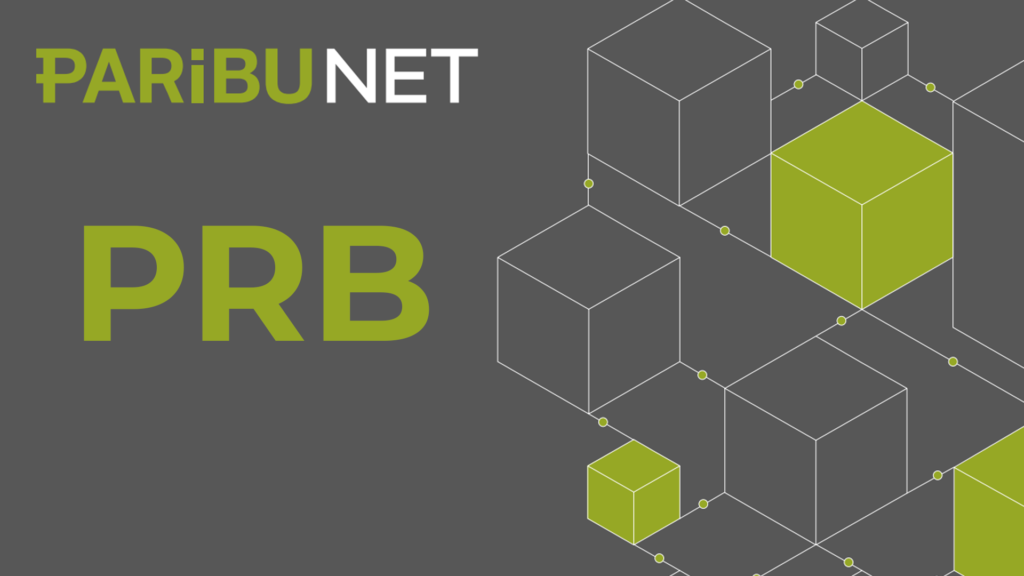 Paribu Coin (PRB) Nedir? Paribu Coin Nasıl Alınır? Ön Satış - Coin Bilgi