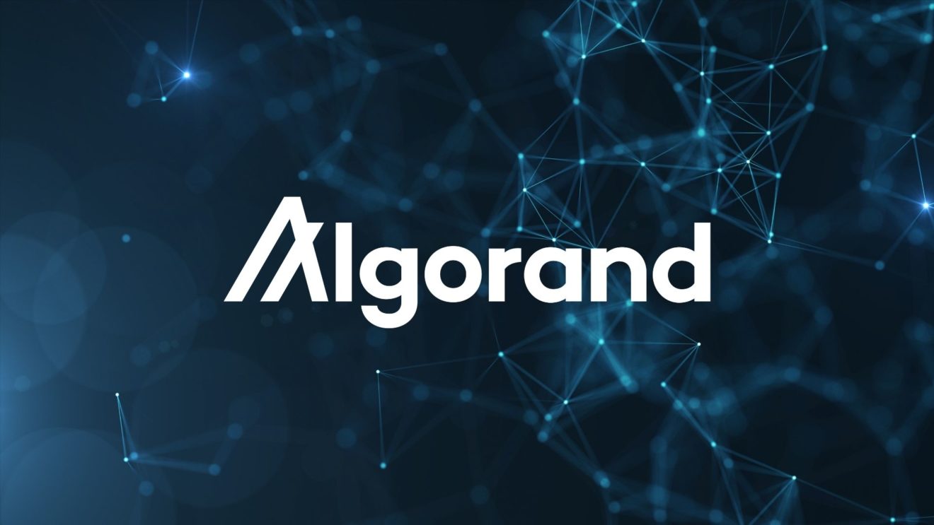 Algorand (ALGO) Coin Nedir? - Coin Bilgi