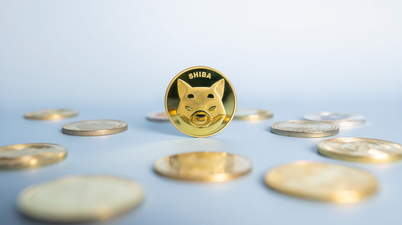 Shiba Inu Coin Kurucusu Kim? Shiba Kimin, Kim Kurdu? - Coin Bilgi