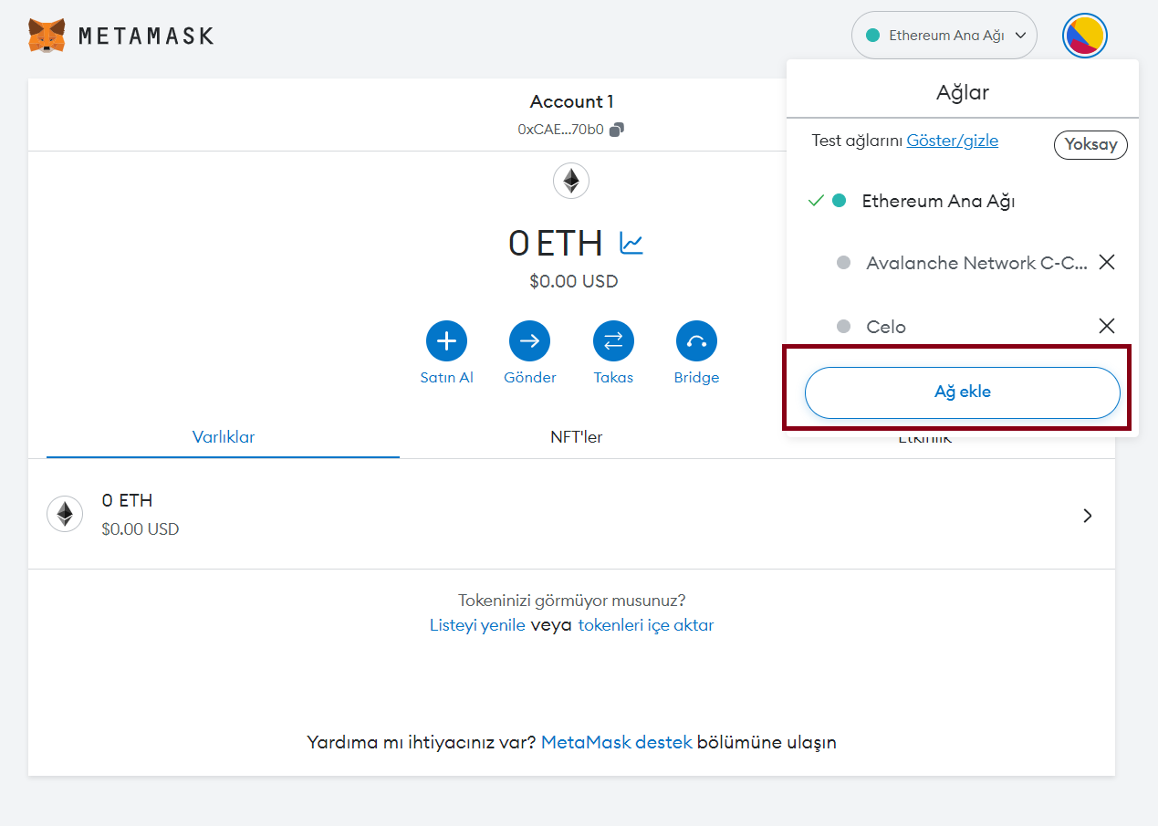Metamask'a Farklı Ağlar Nasıl Eklenir? - Coin Bilgi